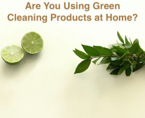 Homemade House Cleaning Materials – Recipes, Ideas, Tips and How Tos